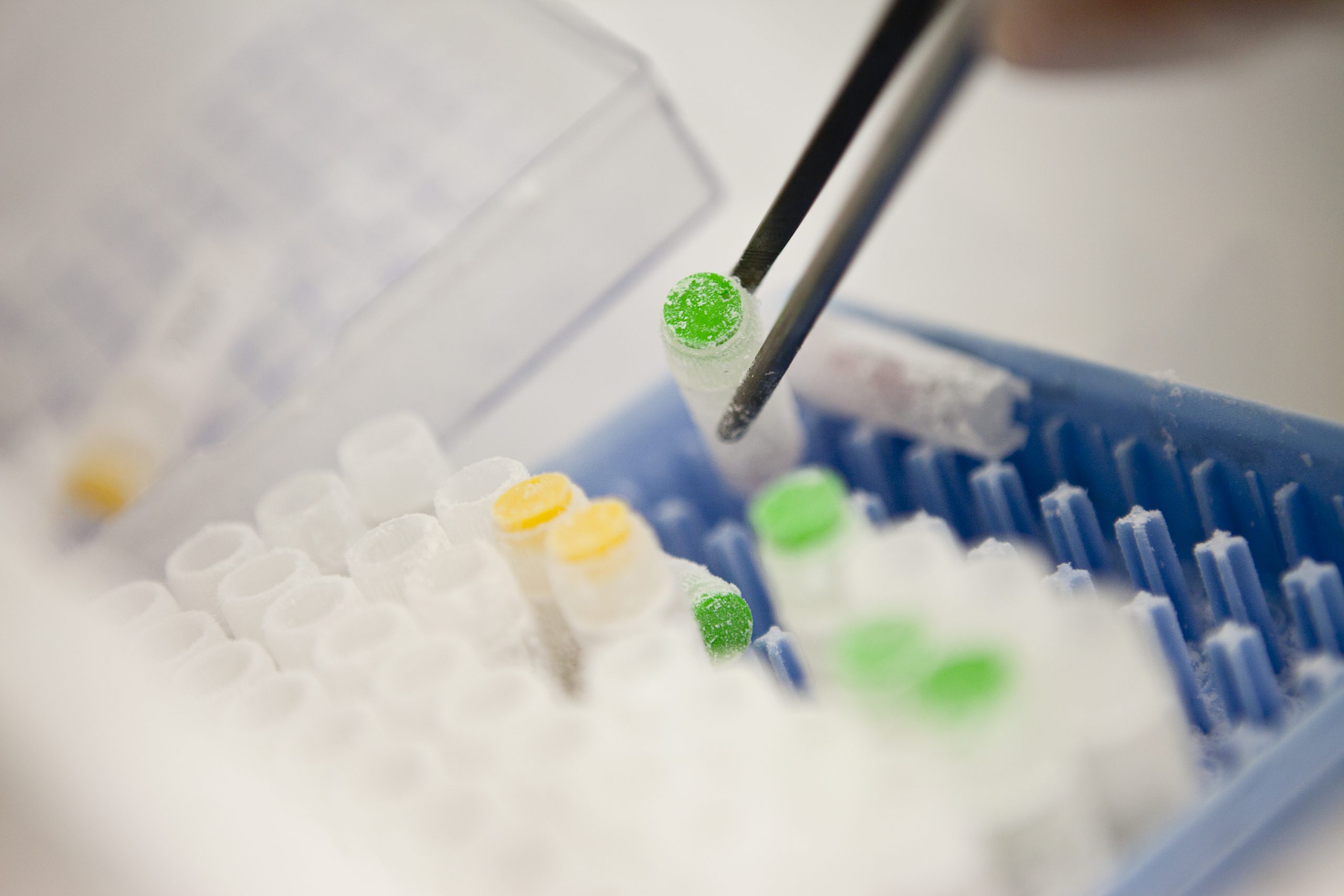 120320_MyologieMyobank_CH_17 - Institut de Myologie