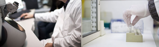 mnm2 - Institut de Myologie