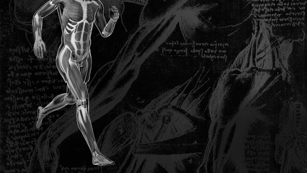 Ready to hit! - Institut de Myologie