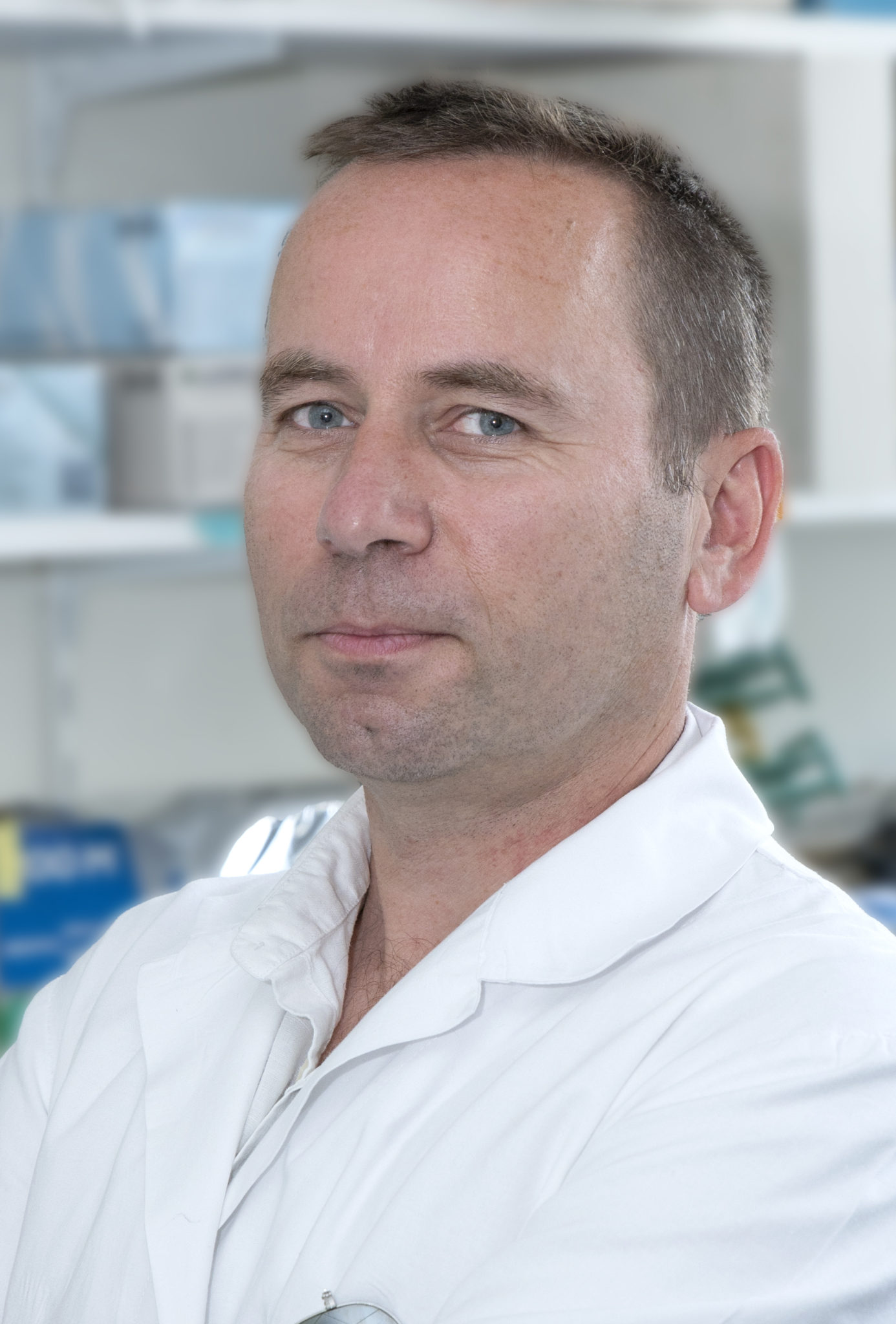 Building the Muscle Atlas - Interview with Bruno Cadot - Institut de ...